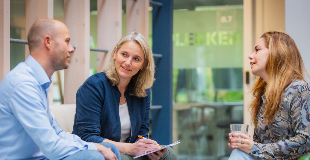 Integrale veranderaanpak: het 5P-model van Improvery